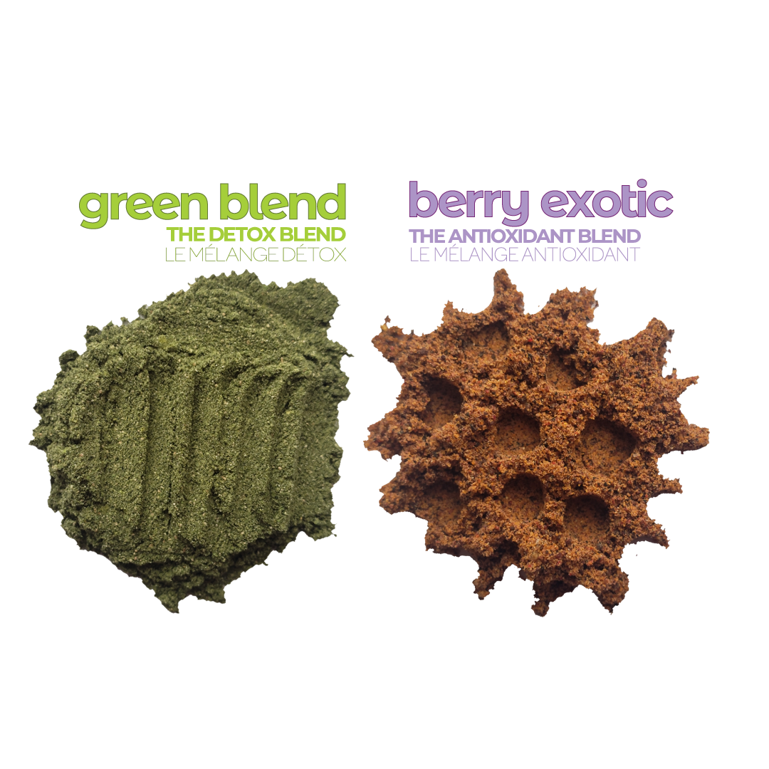 Superfood Detox Bundle + Plan - All natural Raw & Whole Cleanse – SMOOV.ca